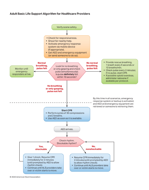 Understanding ACLS Algorithm - cprlifeline