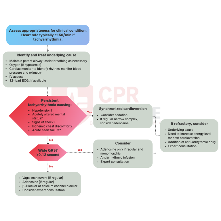 ACLS Tachycardia Algorithm | CPR Lifeline