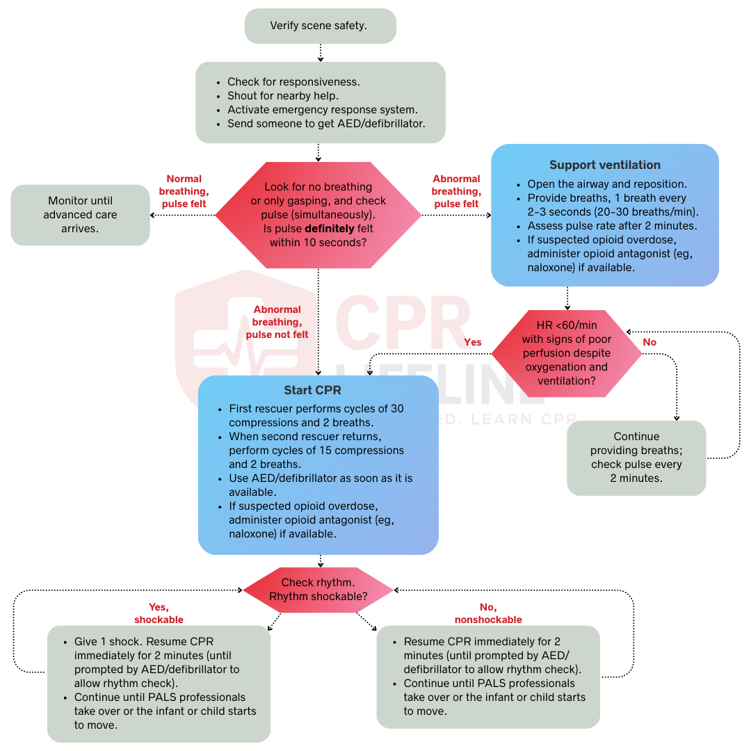 Pediatric Basic Life Support Algorithm | CPR Lifeline