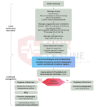 ACLS Post-Cardiac Arrest Care Algorithm | CPR Lifeline