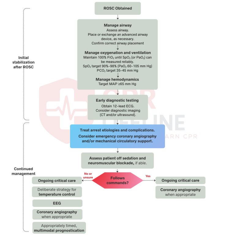 ACLS Post-Cardiac Arrest Care Algorithm | CPR Lifeline