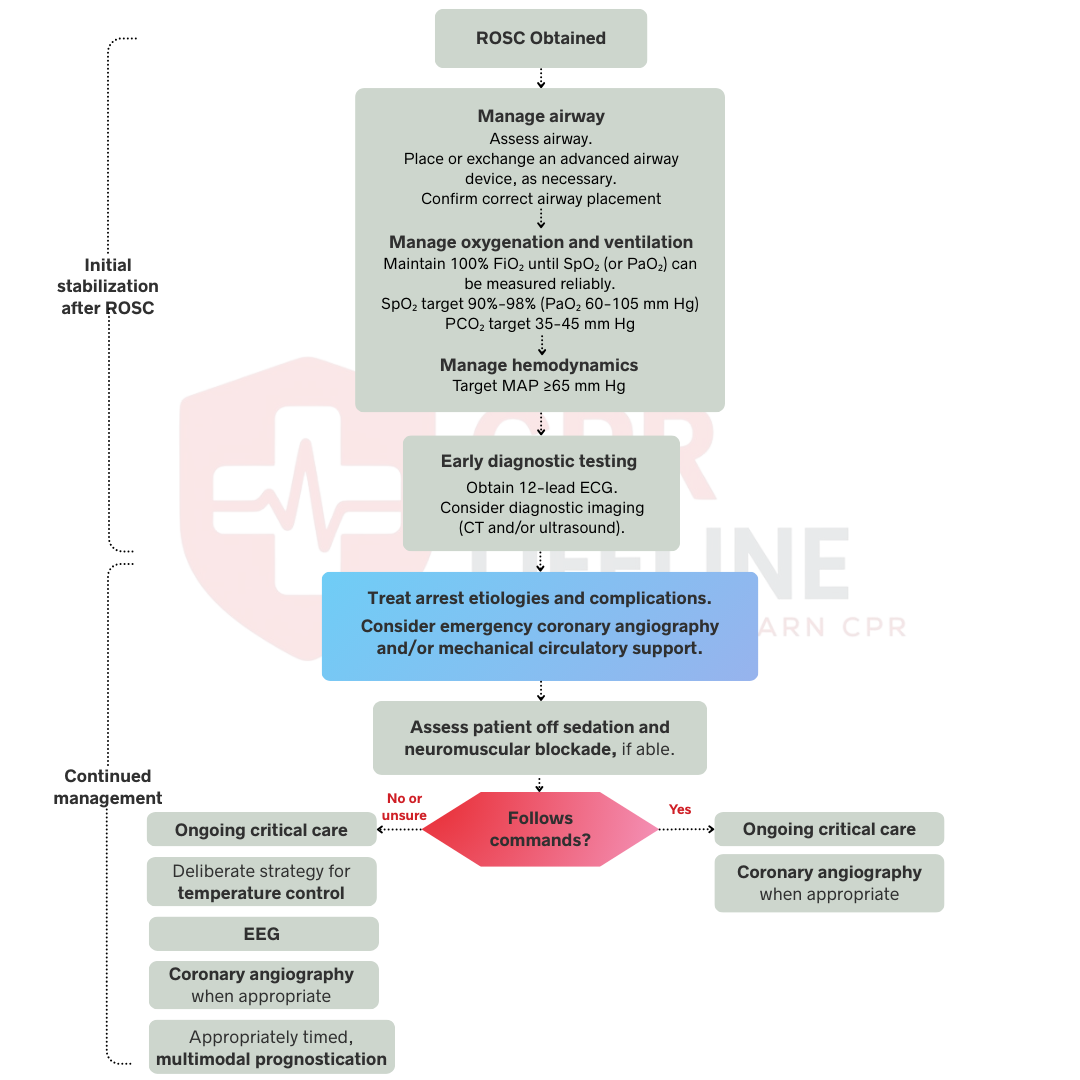 ACLS Post-Cardiac Arrest Care Algorithm | CPR Lifeline