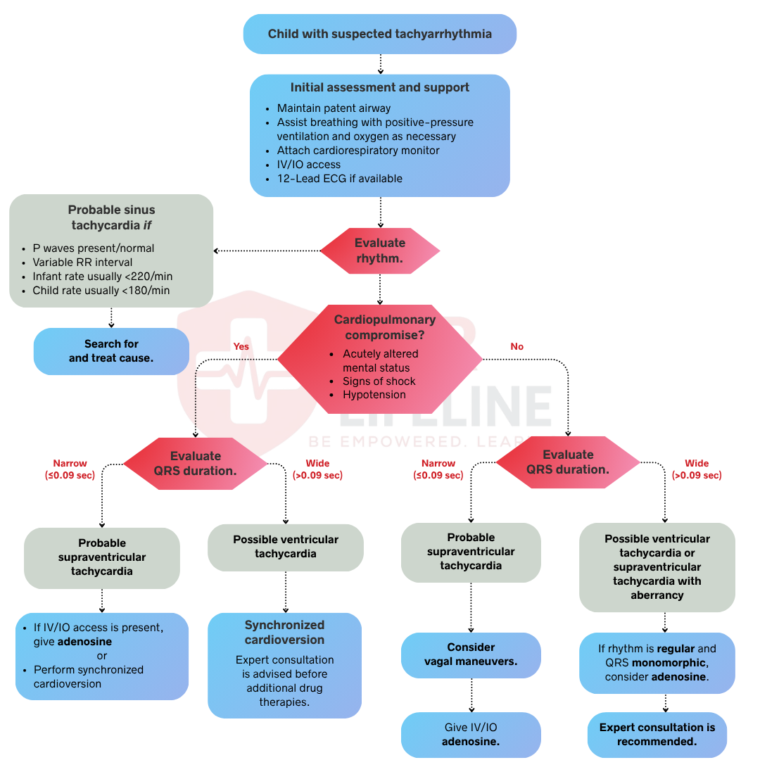 PALS Tachycardia Algorithm | CPR Lifeline